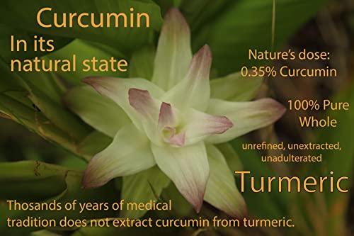 daily turmeric supplement for energy