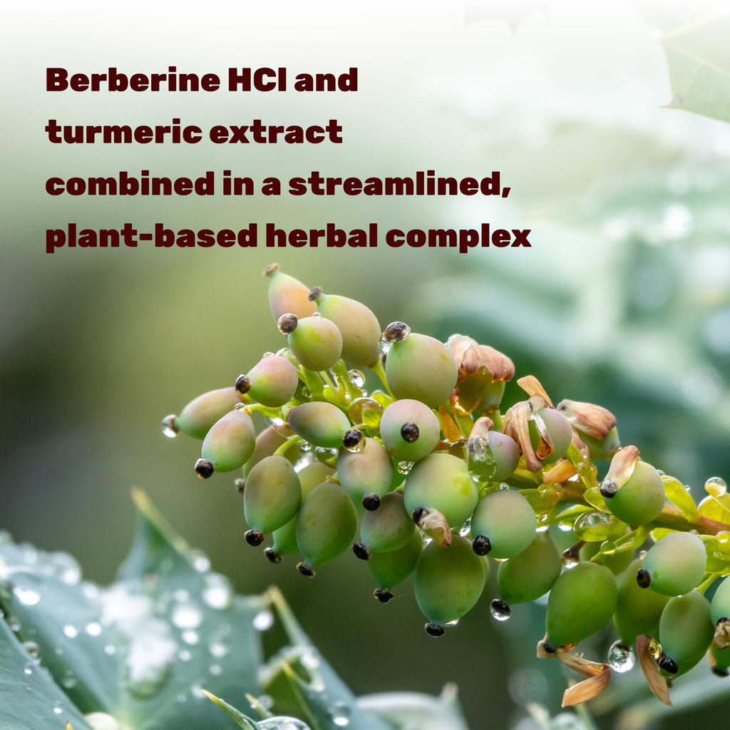Daily turmeric supplement for immune support