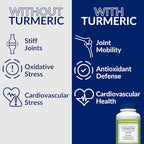 daily turmeric supplement for vitality