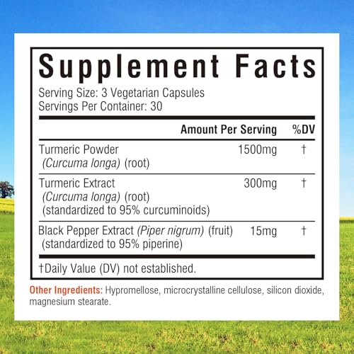 daily turmeric supplement for wellness