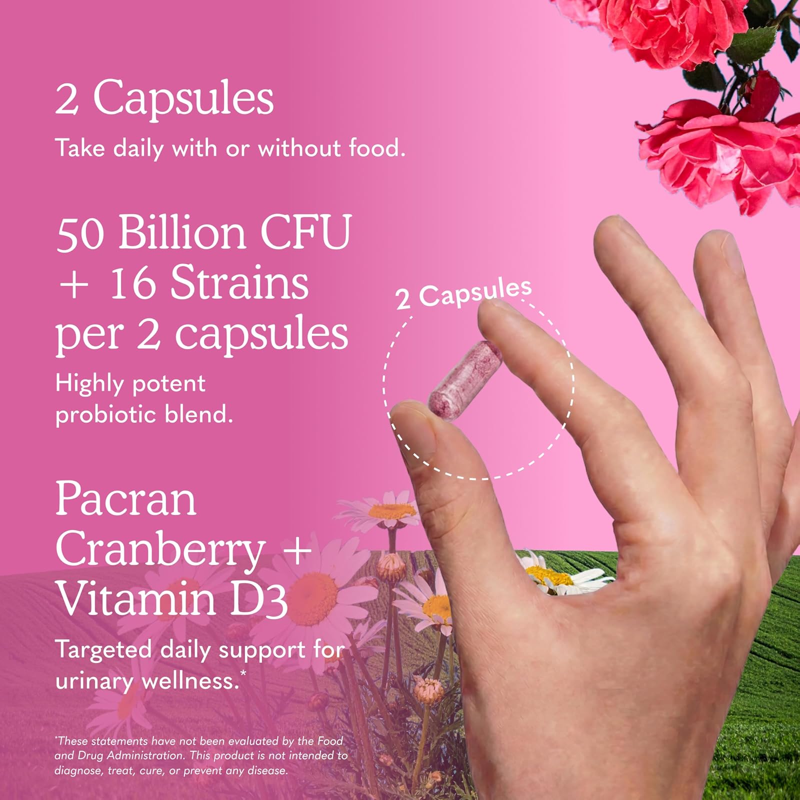 Daily urinary tract support probiotics