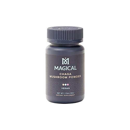 daily use mushroom supplement benefits