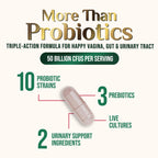 daily vaginal probiotics supplement
