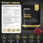 Daily vitality support Shilajit gummies