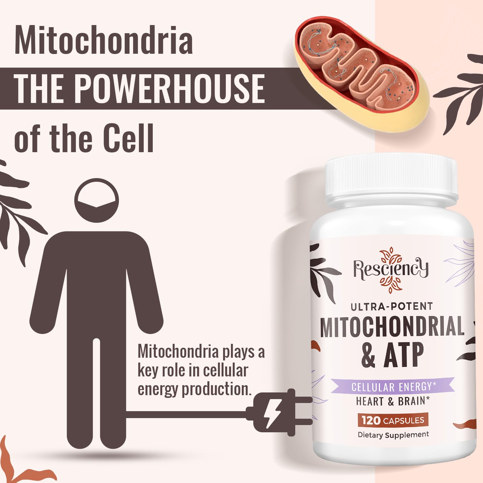 daily vitality with blended mineral supplements