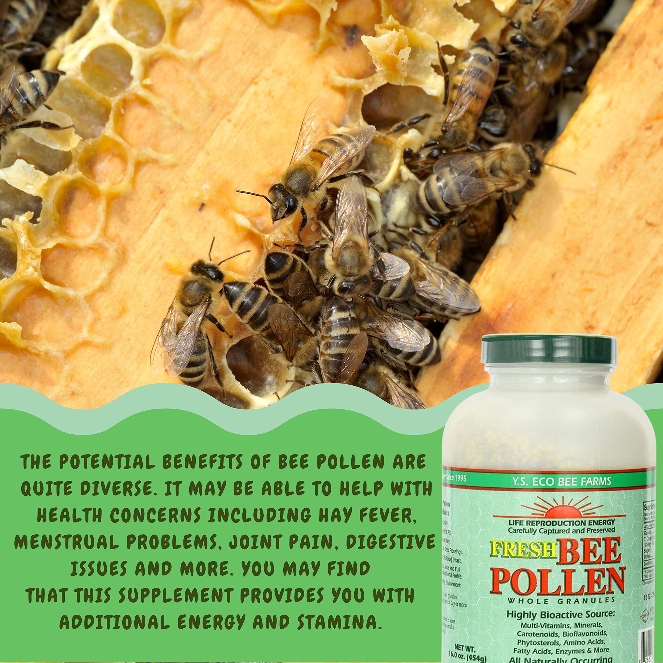 daily vitamin and mineral supplement blend