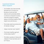 daily vitamin b complex supplement