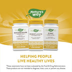 daily vitamin B2 for wellness