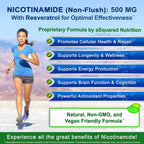 Daily vitamin B3 supplement capsules