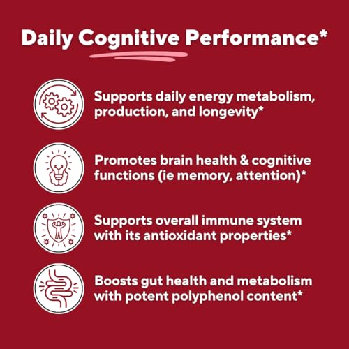 daily vitamin blend for focus