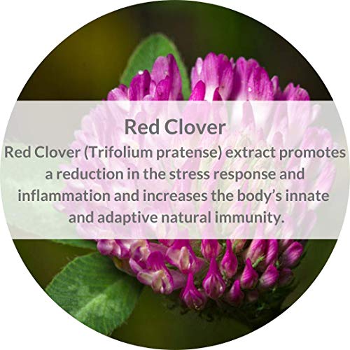 daily vitamin blend for hormonal health