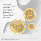 daily Vitamin C for wellness