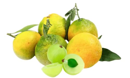 daily vitamin supplement for energy