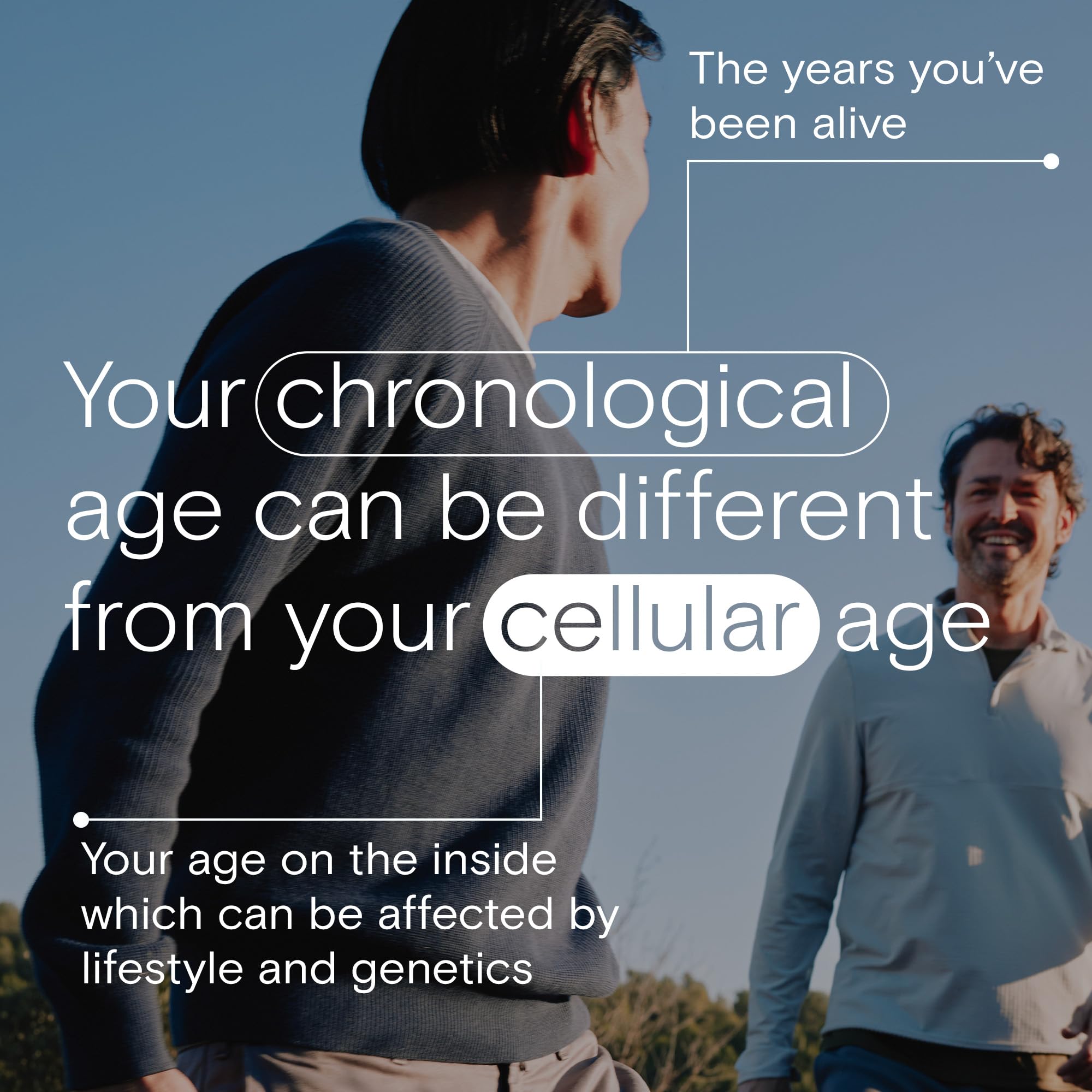 daily vitamin supplement for healthy aging