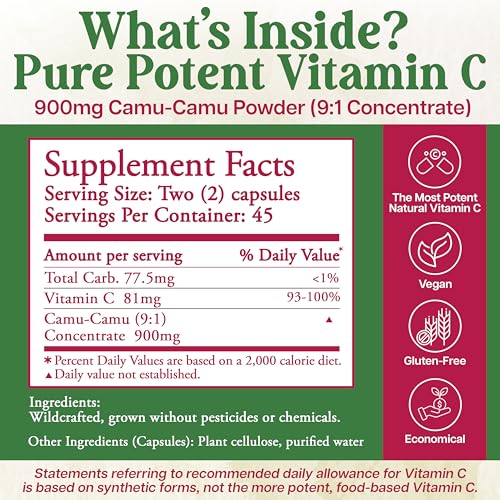 daily vitamin support for wellness