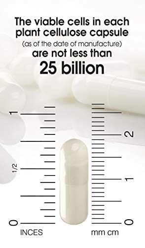 daily vitamins and minerals blend
