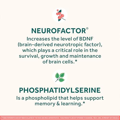daily vitamins for brain function