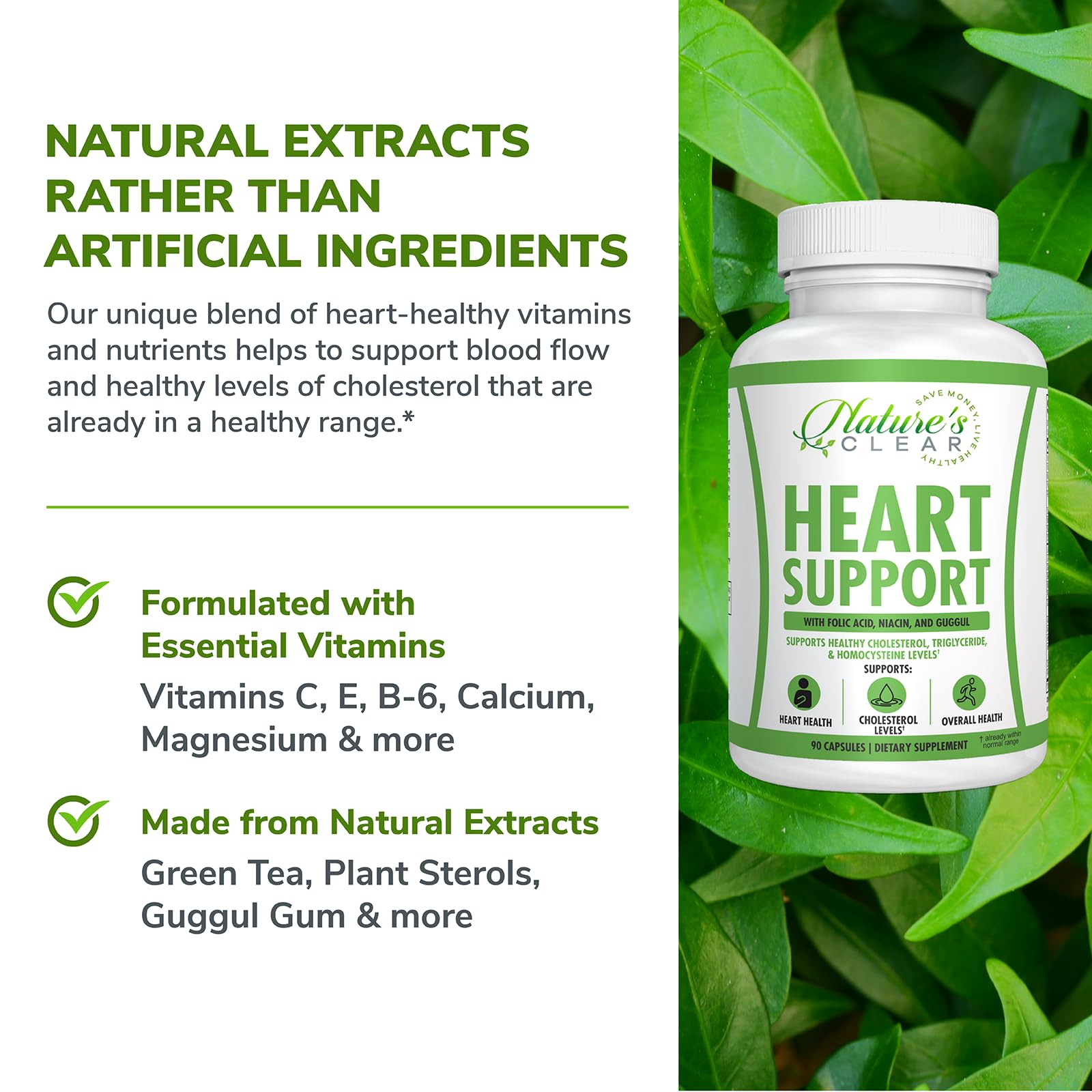 daily vitamins for cholesterol balance