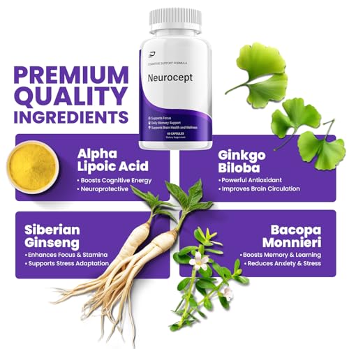 daily vitamins for improved concentration