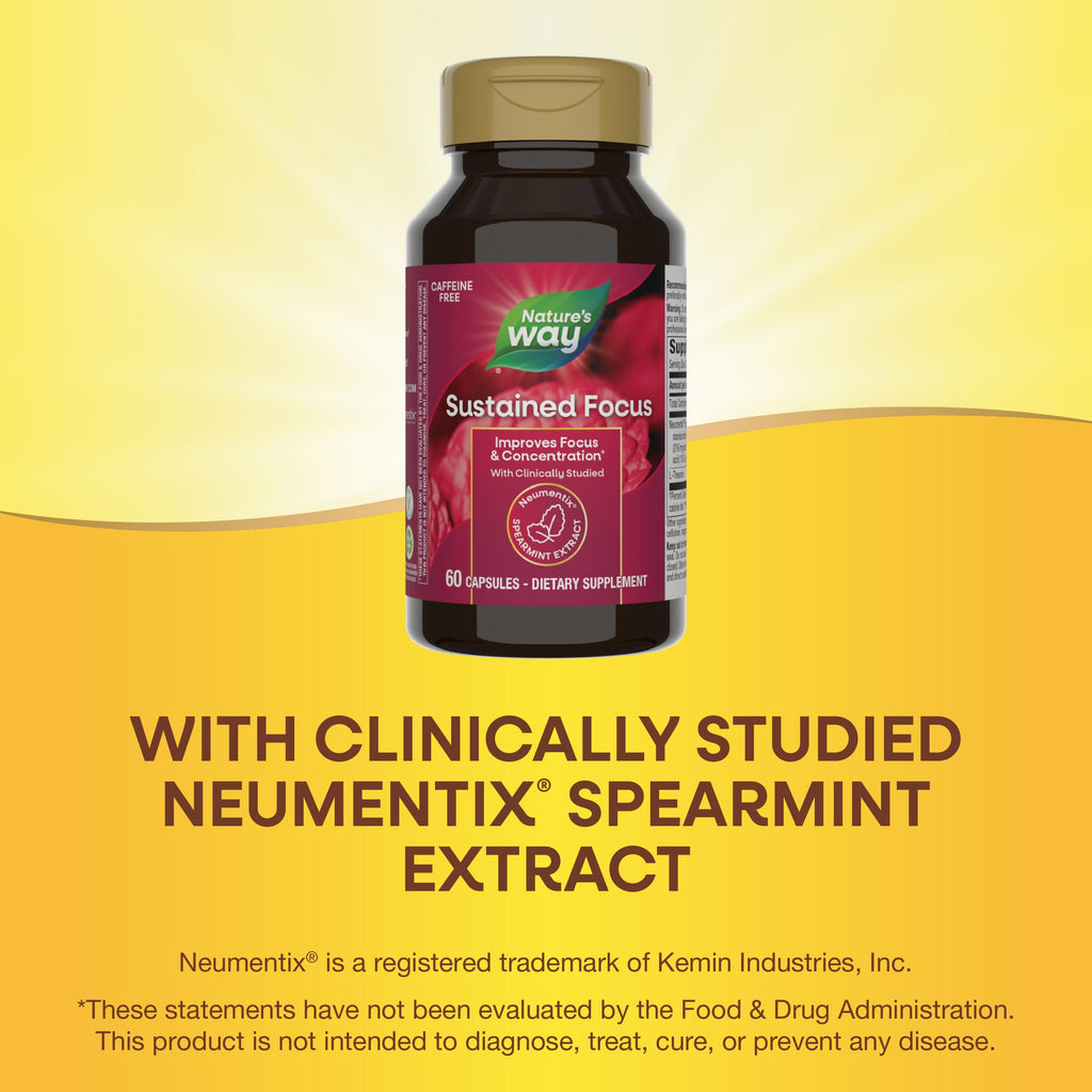 daily vitamins for improved concentration