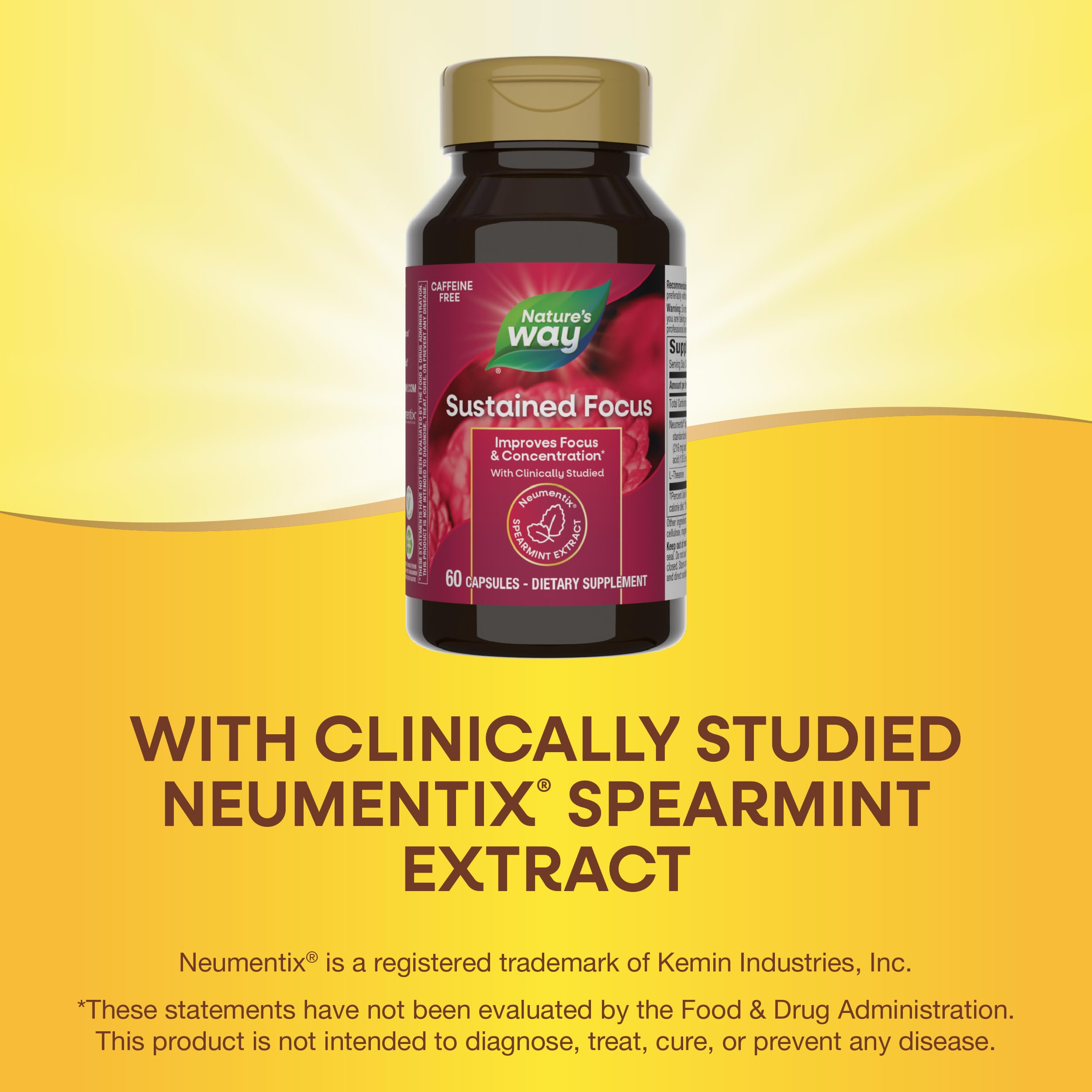 daily vitamins for improved concentration