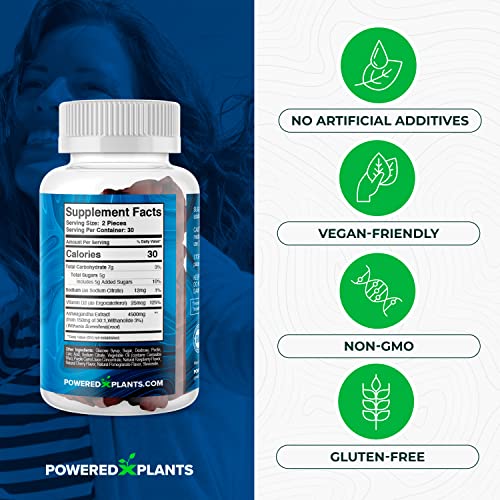 Daily vitamins for mental clarity