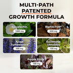 daily vitamins for optimal performance