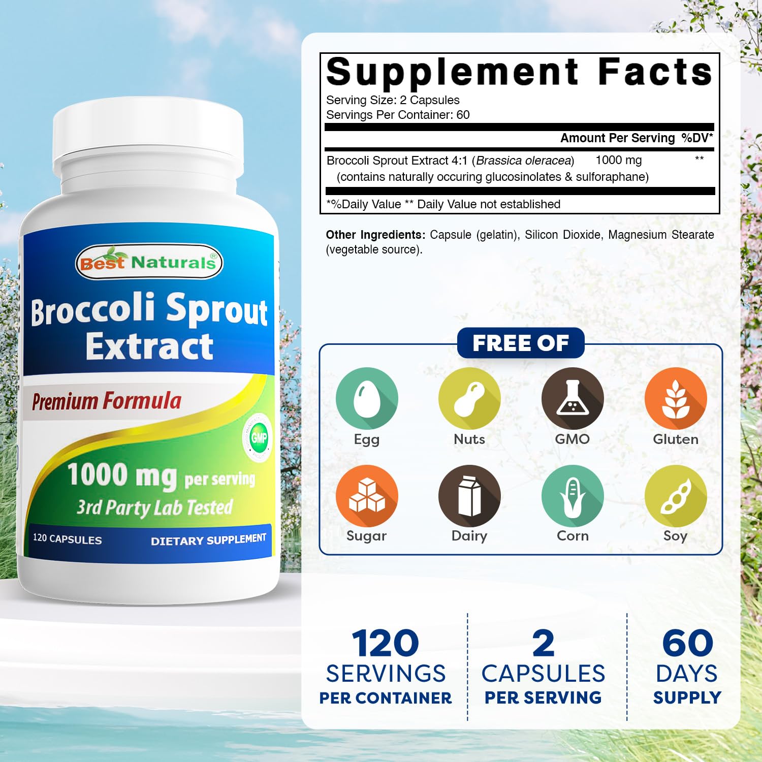 Daily vitamins for optimal wellness
