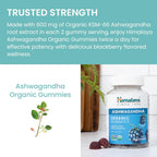 Daily wellness ashwagandha gummies