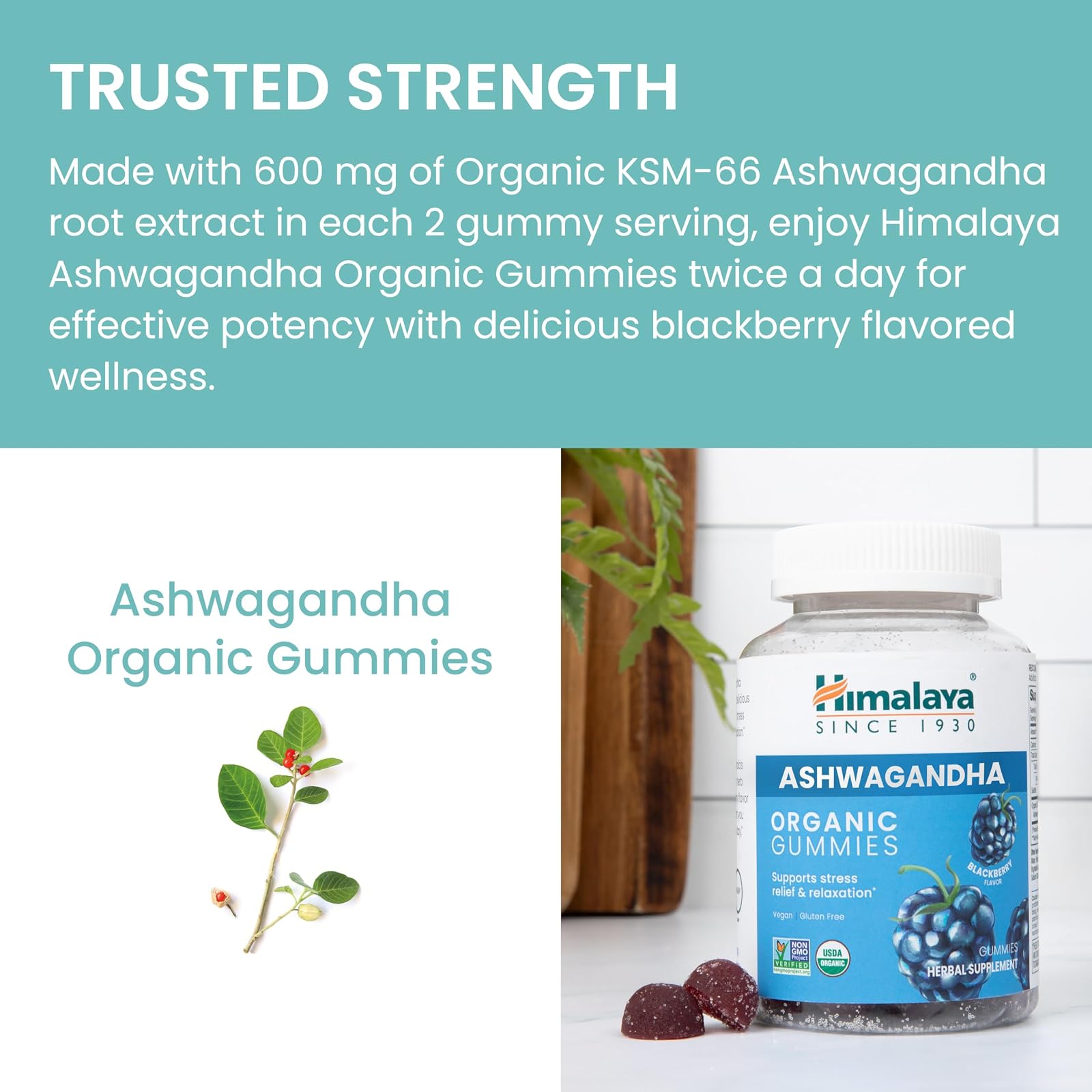 Daily wellness ashwagandha gummies