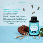 daily wellness ashwagandha supplement