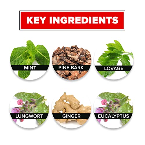 daily wellness blended vitamin & mineral supplements