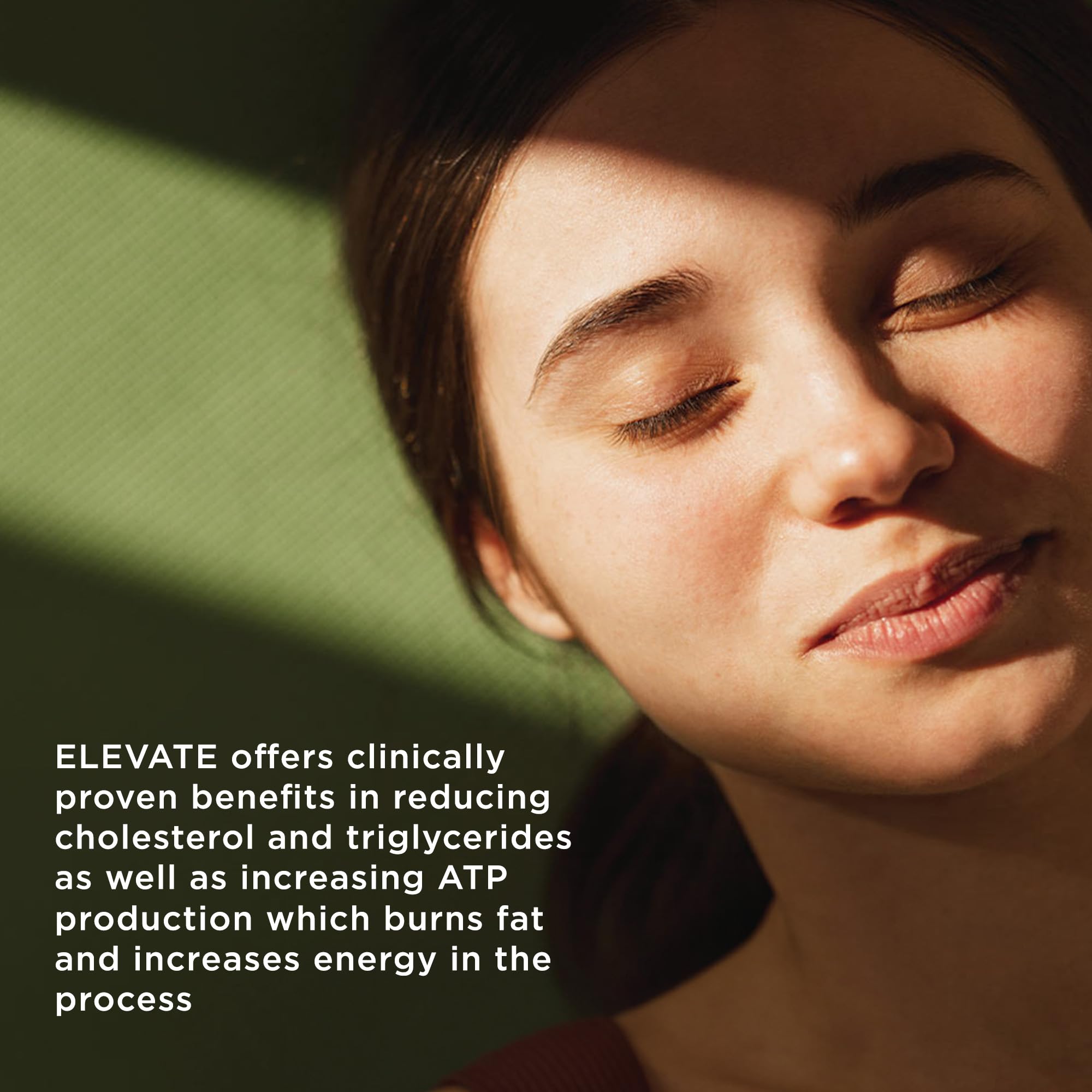 daily wellness blended vitamin & mineral supplements