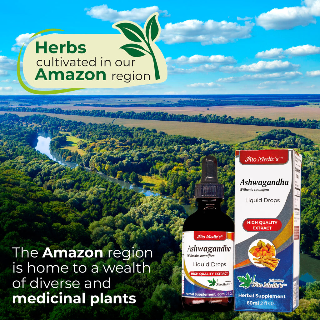 daily wellness boost from ashwagandha