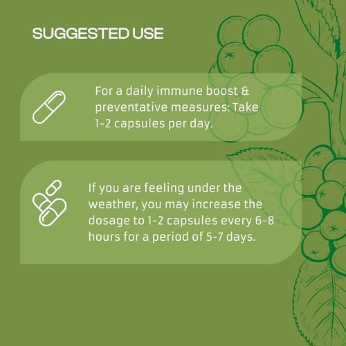 daily wellness capsules with elderberry