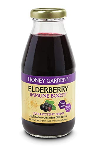 Daily wellness elderberry liquid supplement