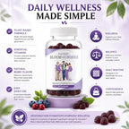 Daily Wellness gummies for daily vitamins