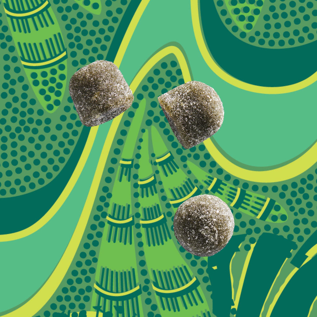 daily wellness gummies for energy