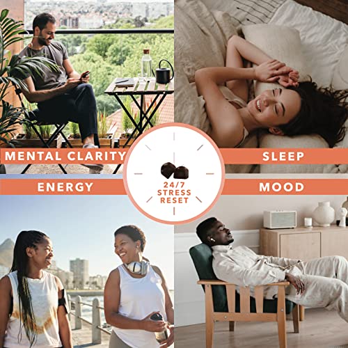 daily wellness gummies for relaxation