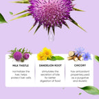 Daily Wellness milk thistle extract