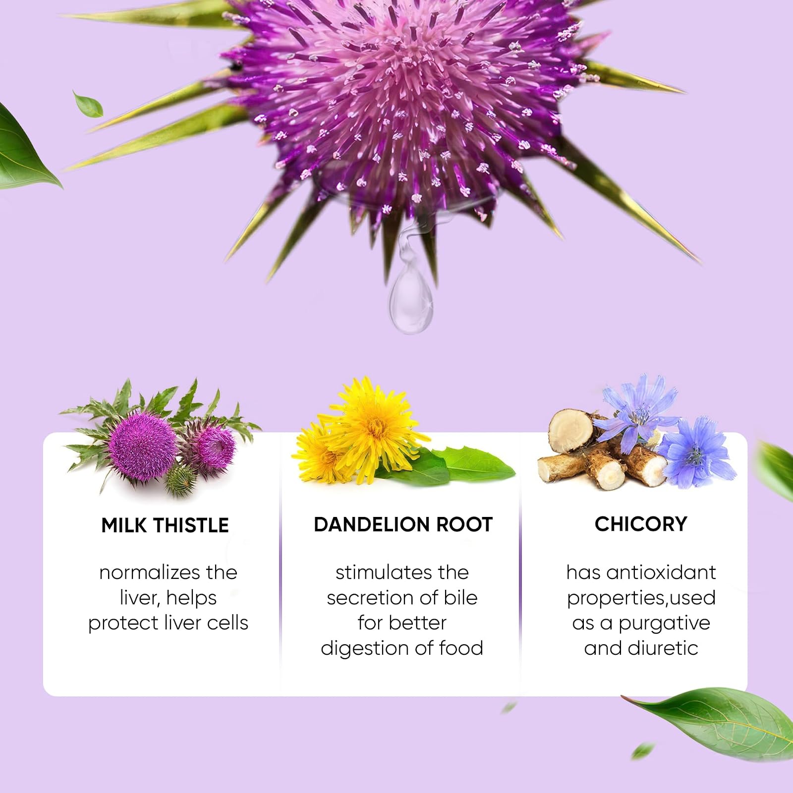 Daily Wellness milk thistle extract
