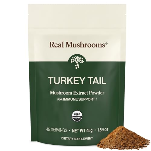 daily wellness mushroom supplement