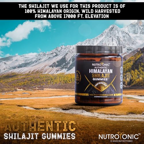 daily wellness shilajit gummies