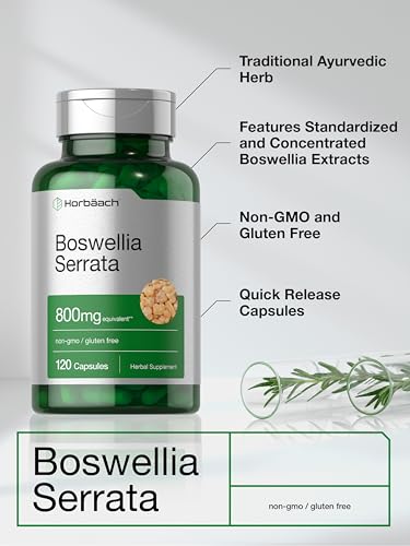 daily wellness supplement capsules