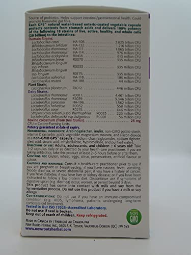 daily wellness support with probiotics