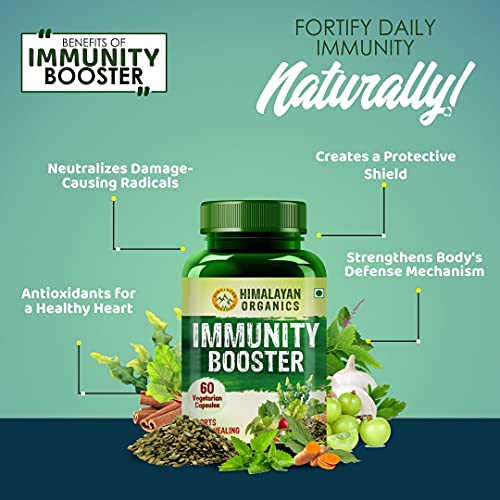 daily wellness vitamin capsules