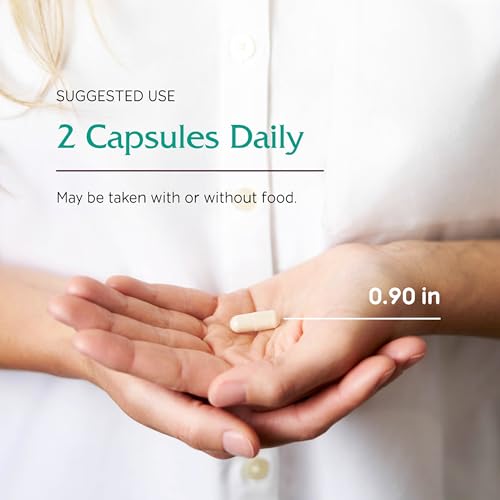 daily wellness vitamin support