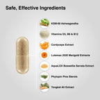 daily wellness with ashwagandha