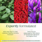 daily wellness with ashwagandha
