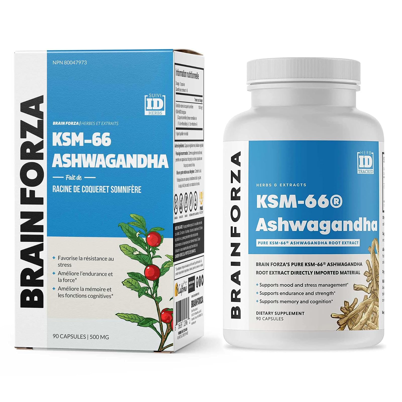 daily wellness with ashwagandha